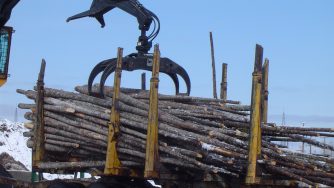 Bunching Log Grapple - Rotobec