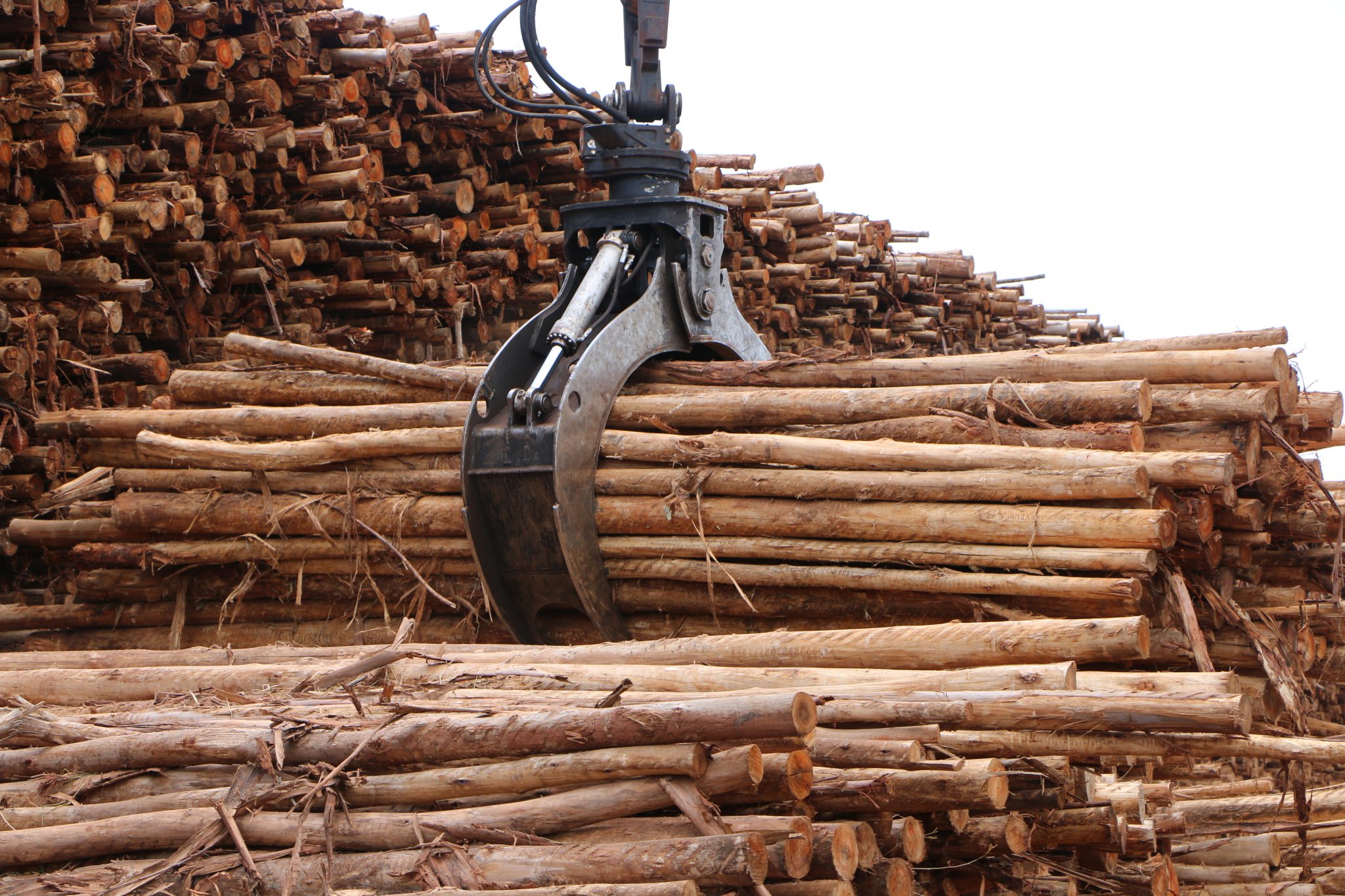 Combination Positioned Grapple - Forestry Attachment - Rotobec