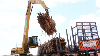 GARRA COMBINADA - Rotobec