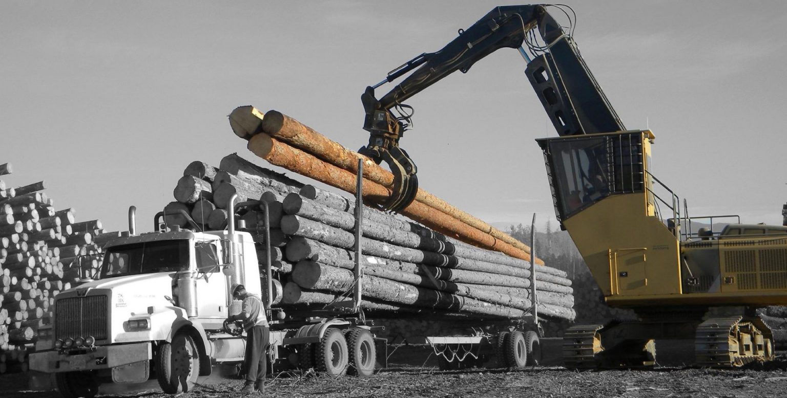 Rotating Pulpwood Grapple - Handles the Largest Bunches - Rotobec