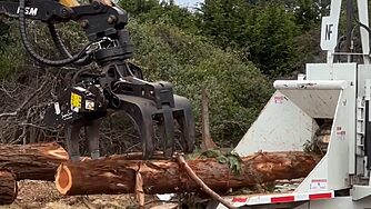 Limb Reaper - The Best Mini Excavator Grapple with a Saw - Rotobec